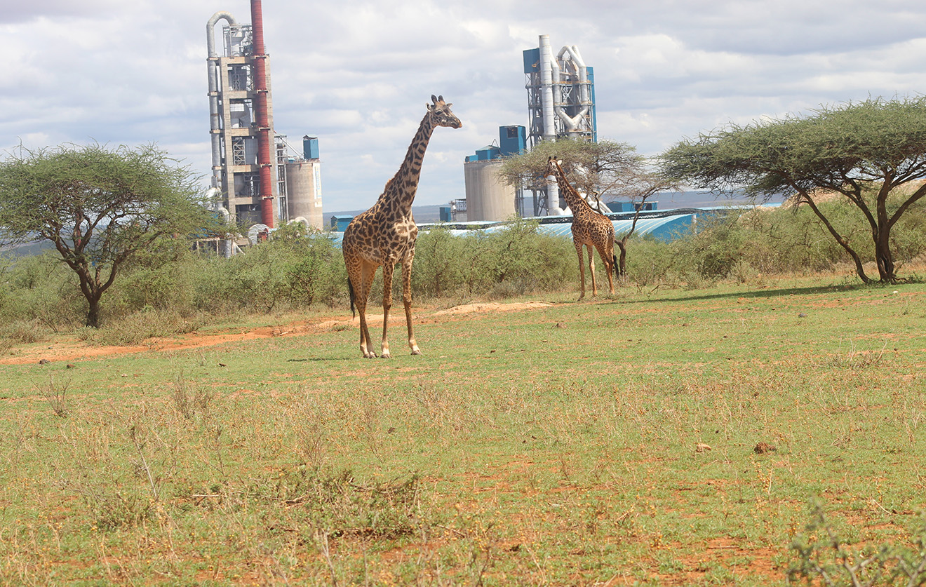 Nasaru Olosho Conservancy Trust – Creating a habitable environment for ...